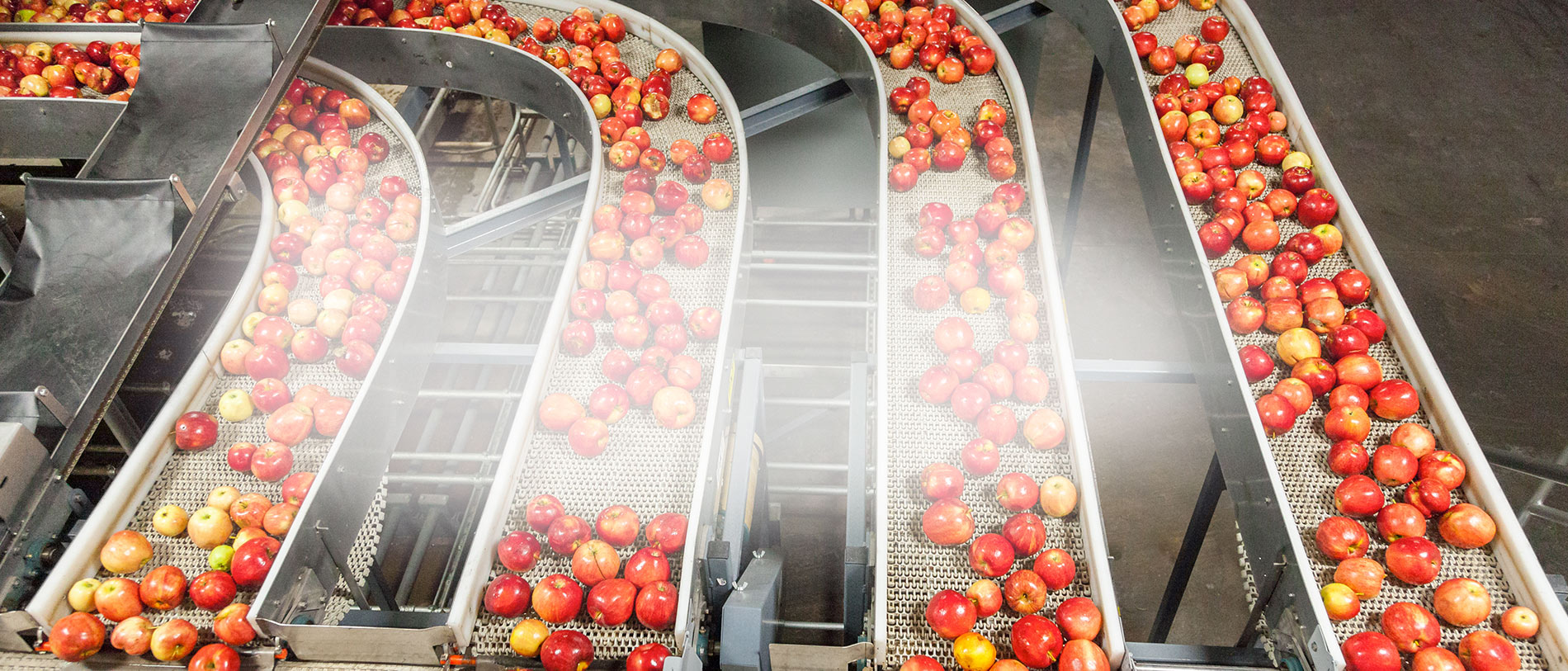 Industria Agroalimentaria | ARRAM Consultores