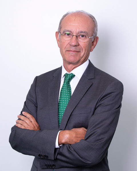 Gruppo Arram | ARRAM Consultores